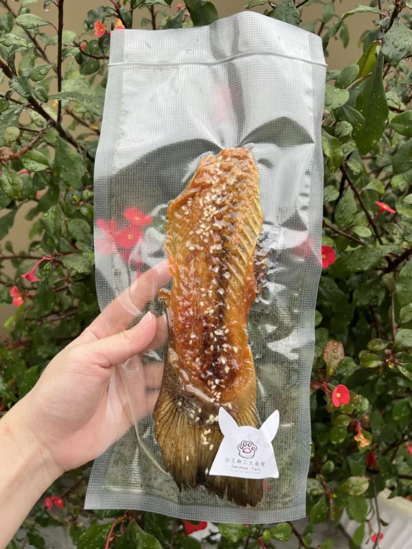 White Sesame Salmon Tail 白芝麻三文鱼尾 – Nini's Snack